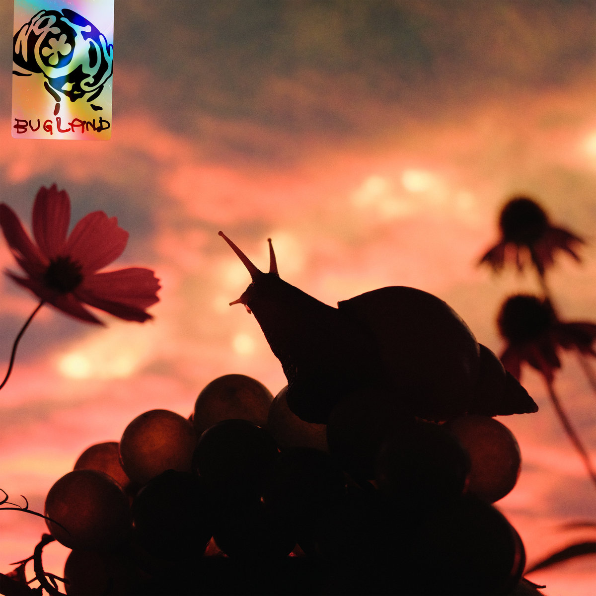 Best albums of 2025: #1 No Joy “Bugland” – My (life in) music lists